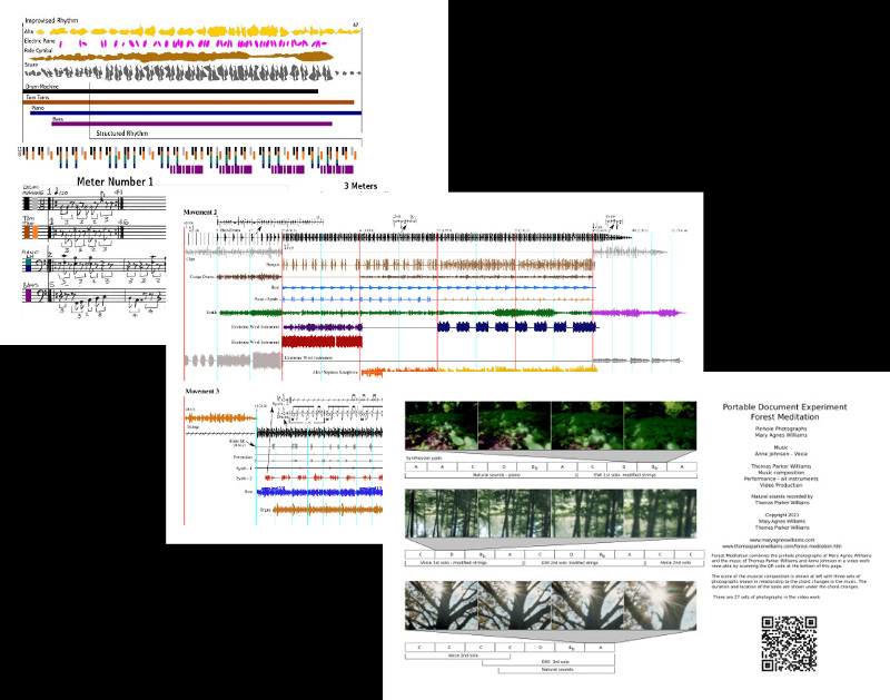 Artist Books of Thomas Parker Williams